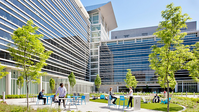 Three International Lessons for U.S. Workplace Well-being