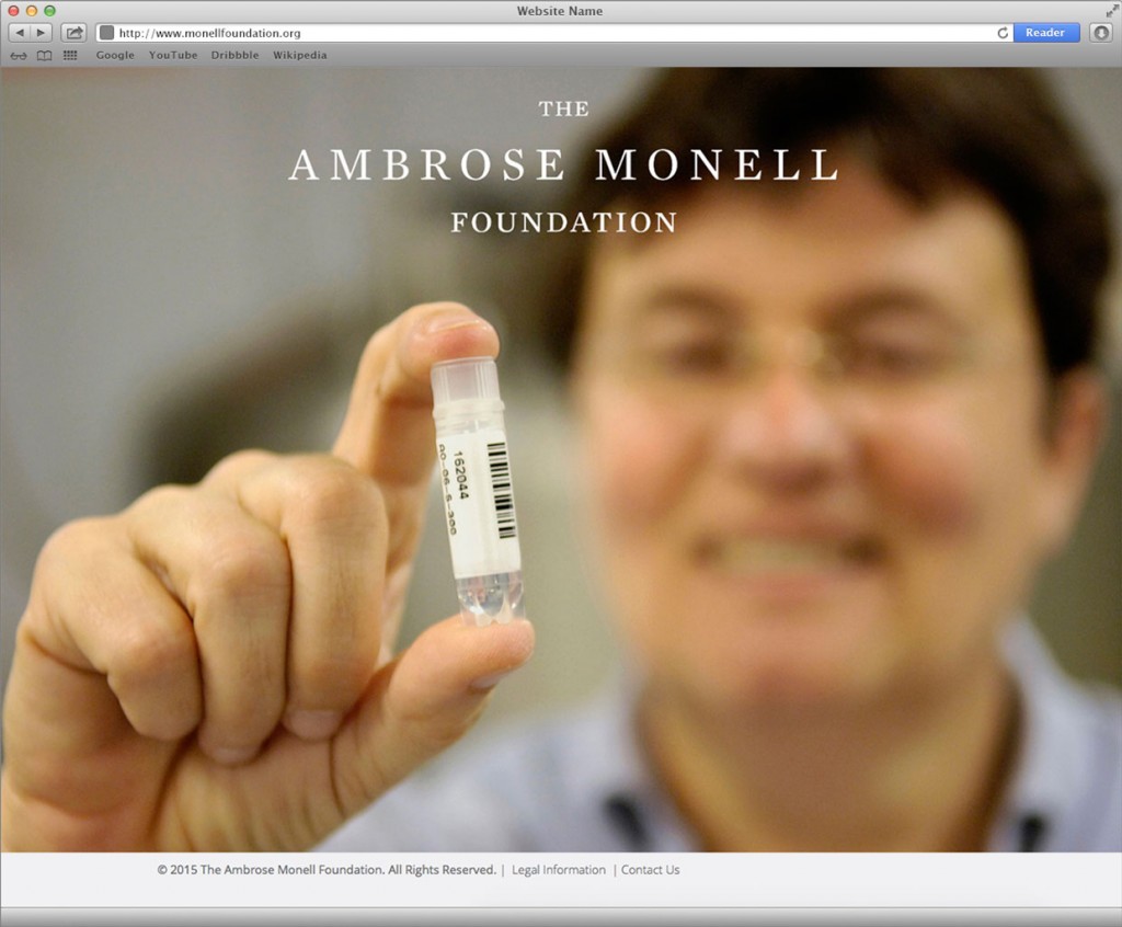 Ambrose Monell/G. Unger Vetlesen Foundation | Gensler