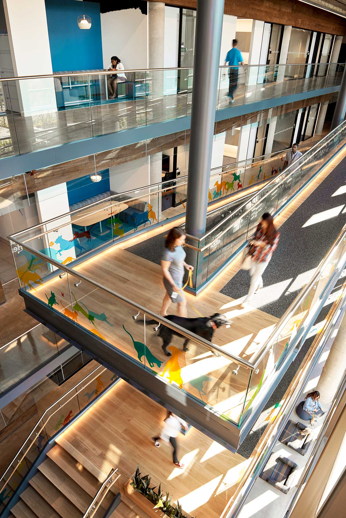 Banfield Pet Hospital Corporate Headquarters | Gensler