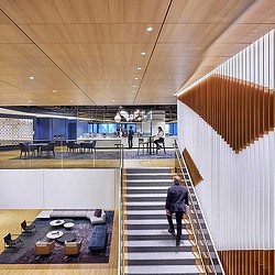 Fran Noval | People | Gensler