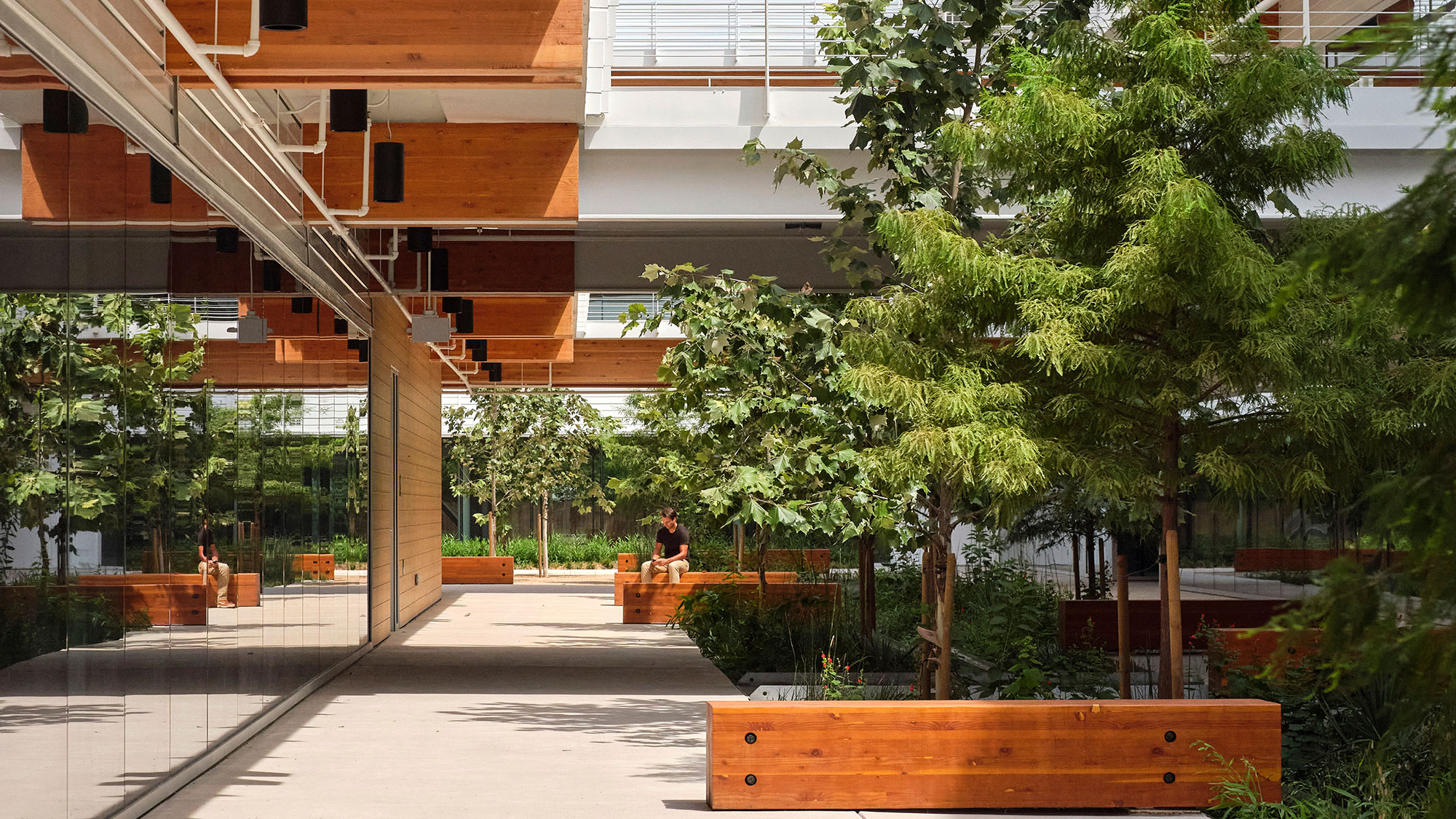 How Biophilia, Biomimicry, and Bioclimatic Strategies Will Transform ...