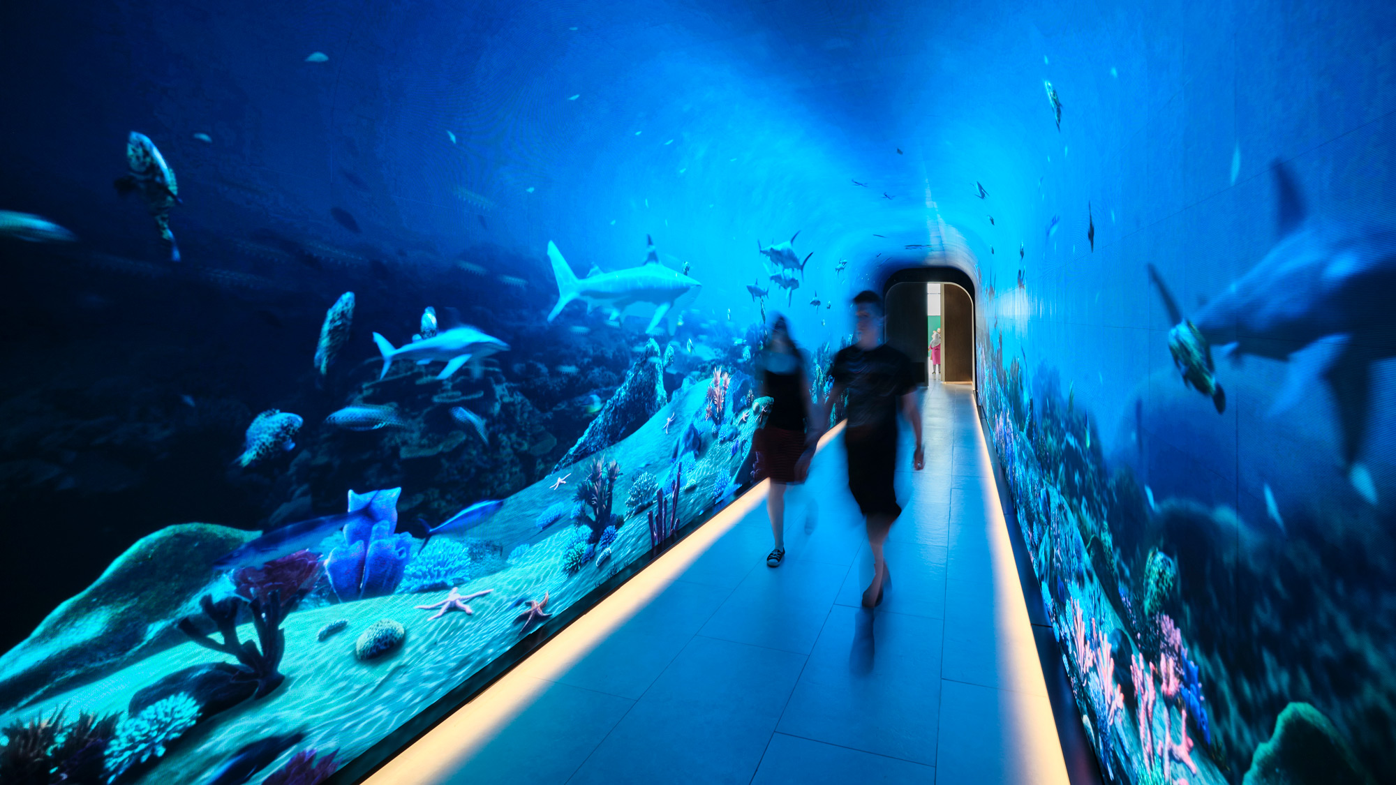 The 5 Attributes That Define an Immersive Experience